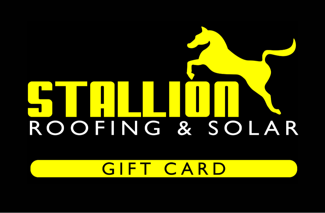 BizGift Card Size & Dimension Guide